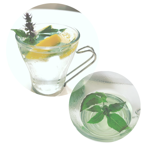 ABOUT c-basil - c_basil